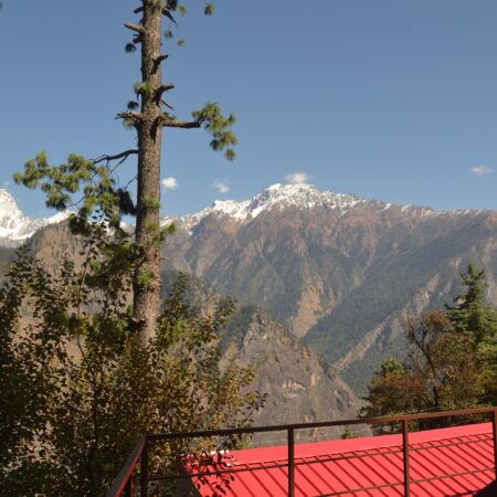 Auli Temperature & Snowfall: Live Weather Updates
