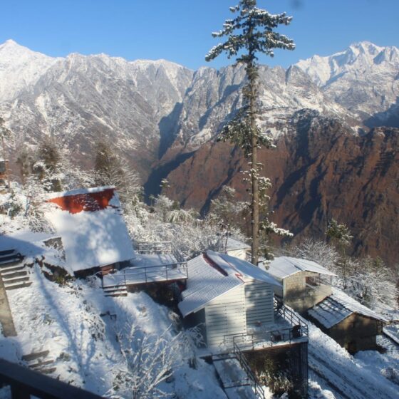 Auli Temperature & Snowfall: Live Weather Updates